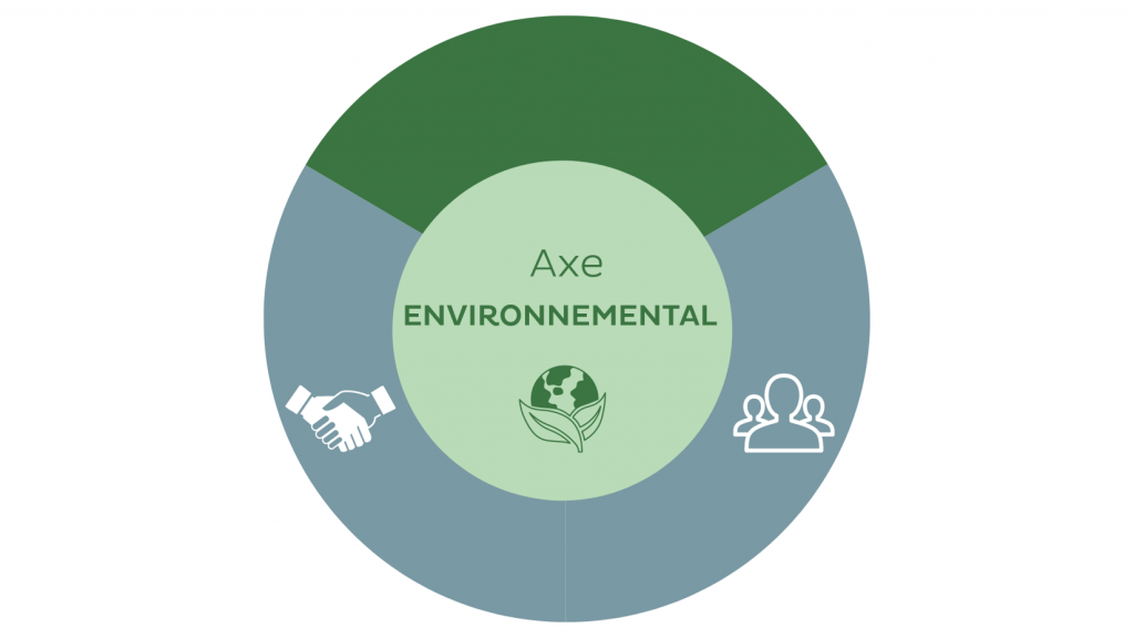 Sustainable development – Nexteam Group